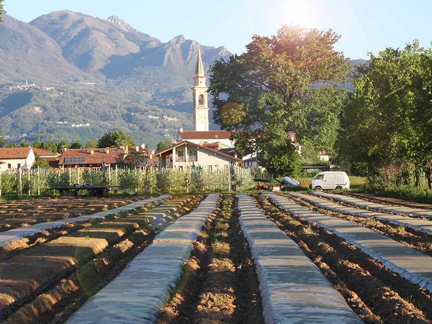 Rurali - Visit Schio